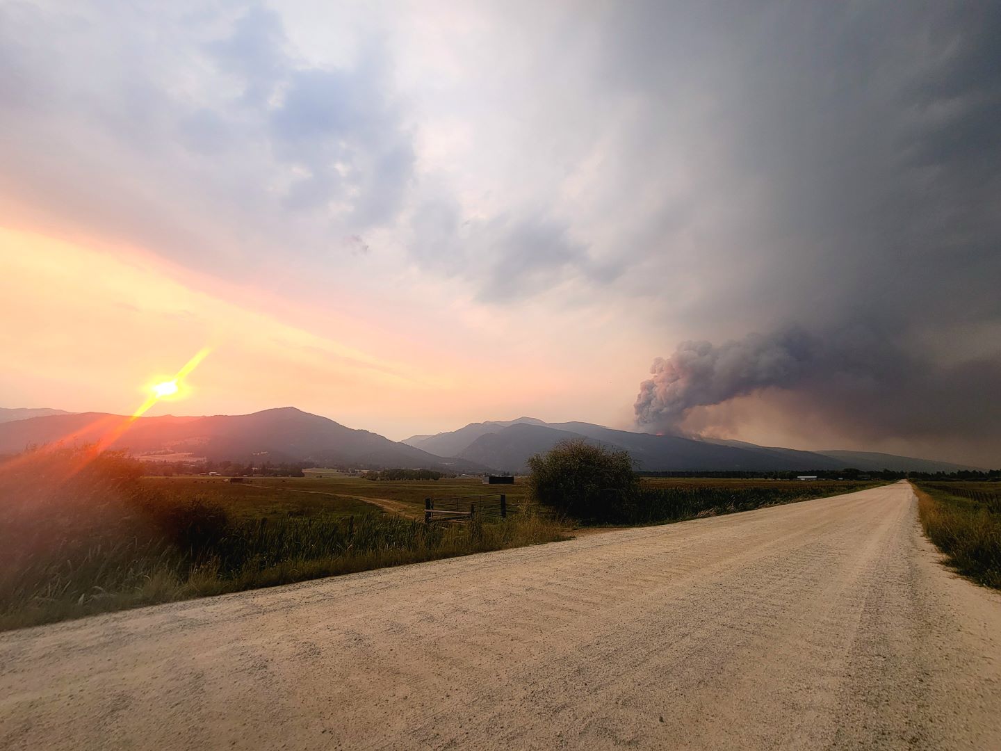 Some (Not So) Fun Facts About Wild Forest Fires – Bigfoot's Friend