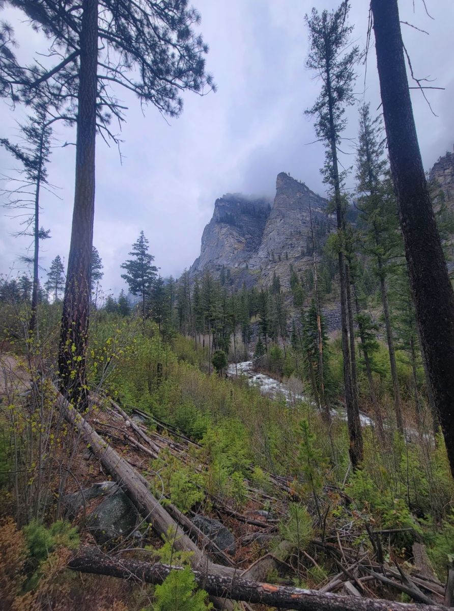 Top 5 Must-See Hiking Trails in the Bitterroot Valley, Montana ...
